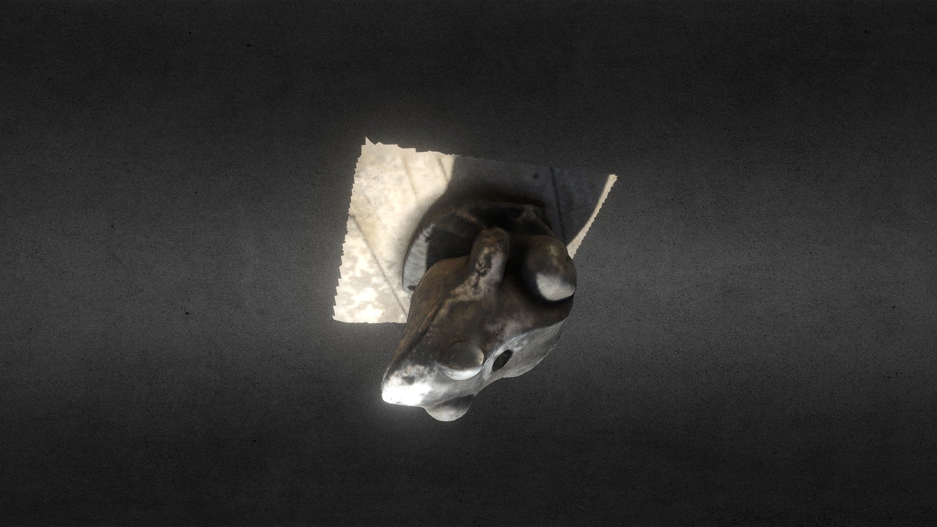 Frog_model - Download Free 3D model by mynameisharshvara [25ef540 ...