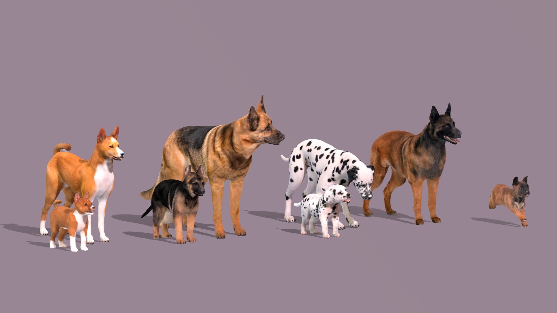 Dogs Family Packs - Buy Royalty Free 3D model by Nyilonelycompany [25f0d6f] - Sketchfab Store
