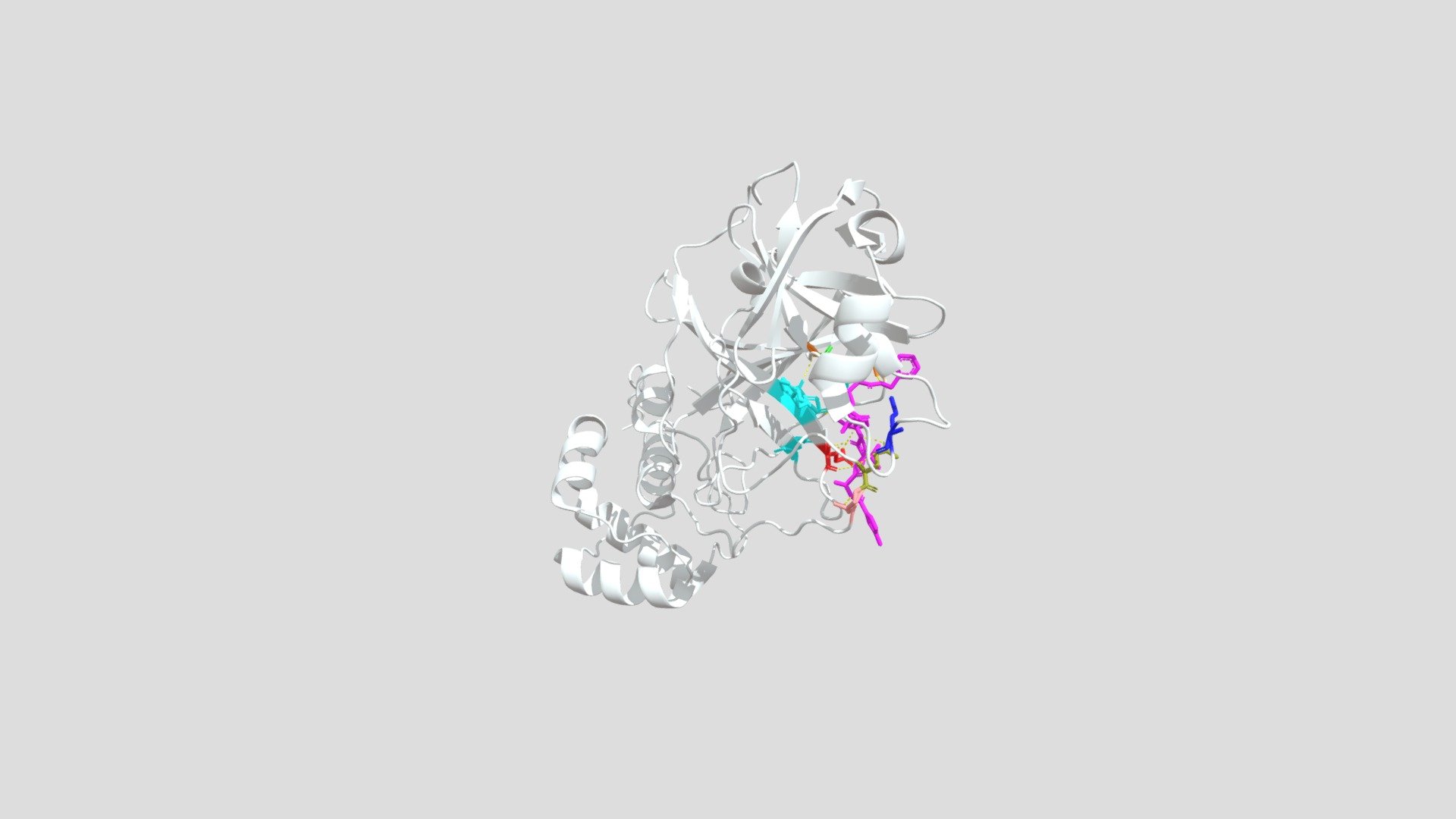 Mro + N3 inhibitor 2 - 3D model by MpowerJ [25f19d0] - Sketchfab