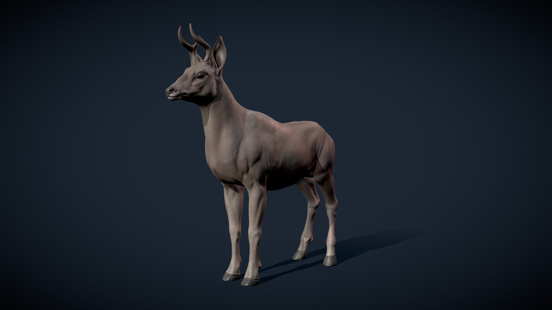 Deer - Buy Royalty Free 3D model by Aadi7z [25f68af] - Sketchfab Store