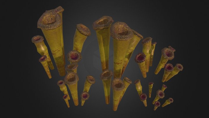 Horn 3D models - Sketchfab