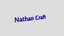 Signature_Nathan_Craft - Download Free 3D model by craftn [26038d6 ...