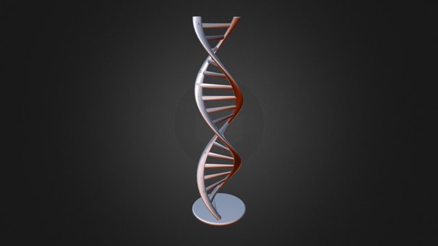 Dna-strand 3D models - Sketchfab