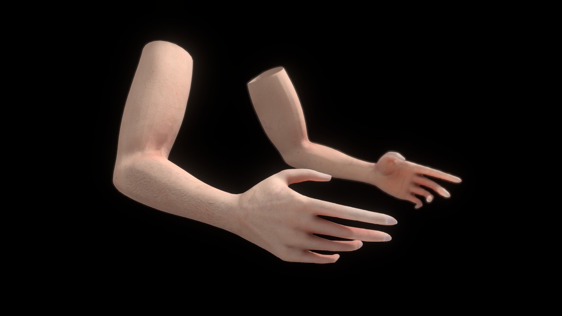 Hands - Download Free 3D model by Foxx Assets (@FoxxAssets) [260d75a ...