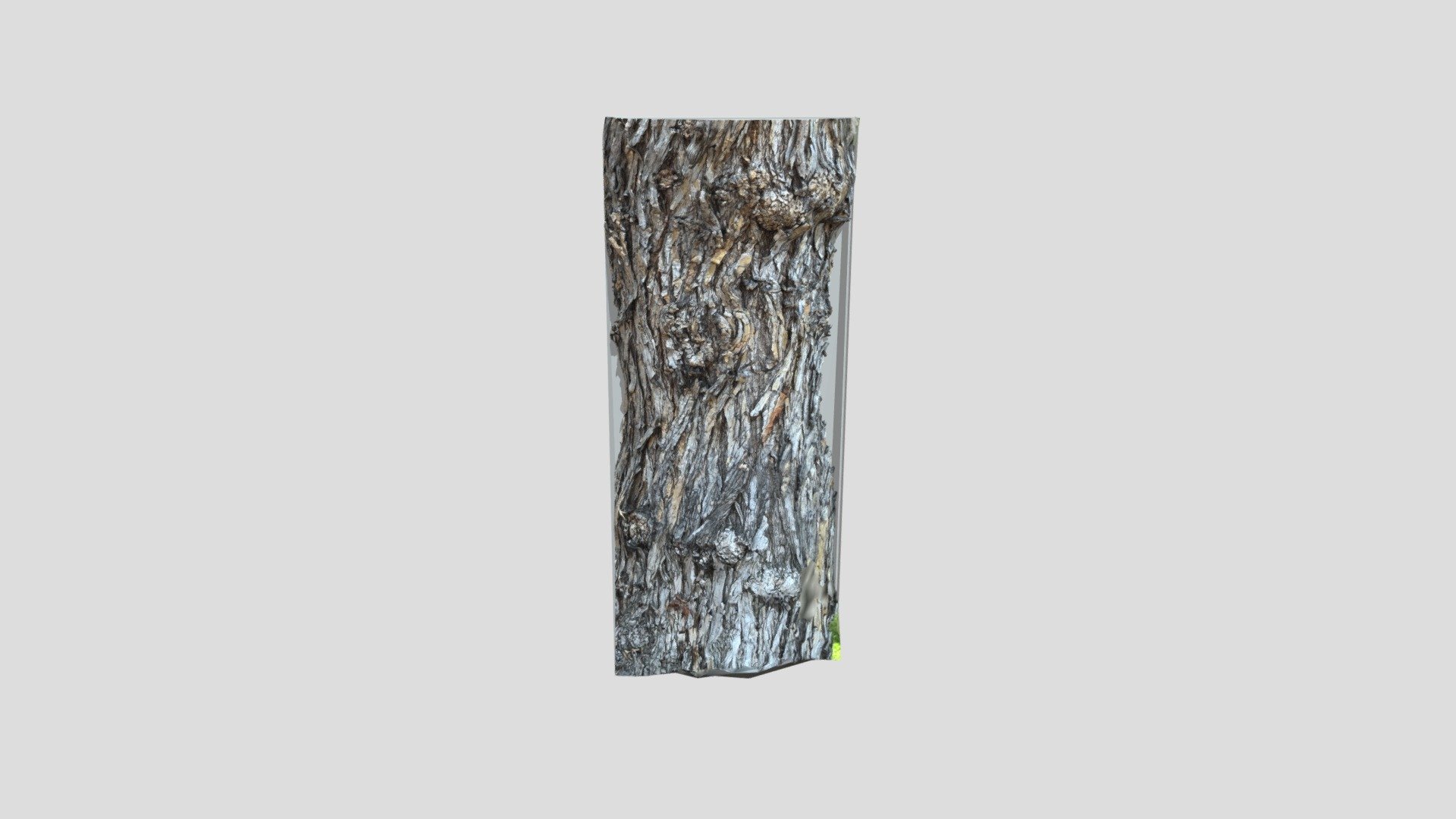 Tree Bark - Download Free 3D model by garagestudios [260e5ee] - Sketchfab