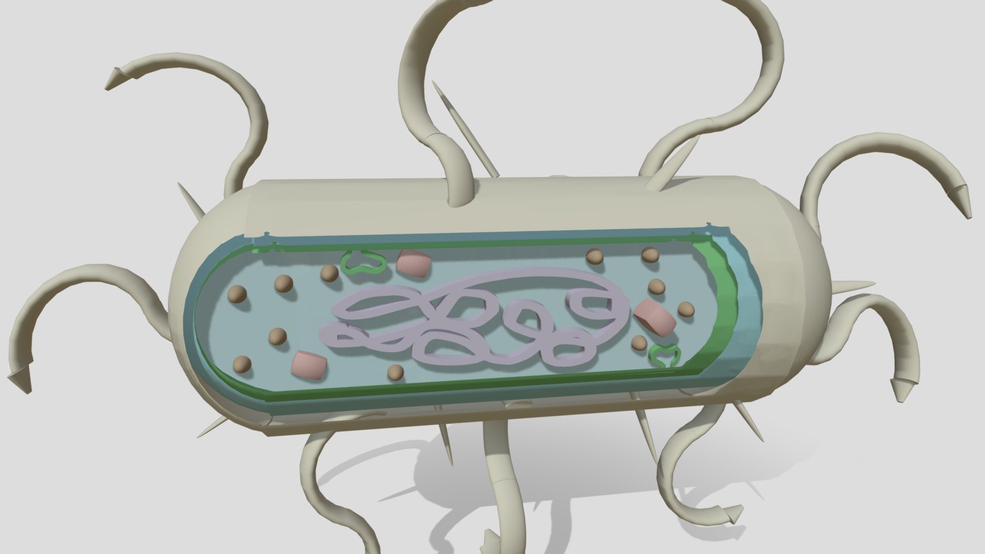 SalmonellaUGHSMICRO - Download Free 3D model by ftoledoa.2023 [2618270 ...