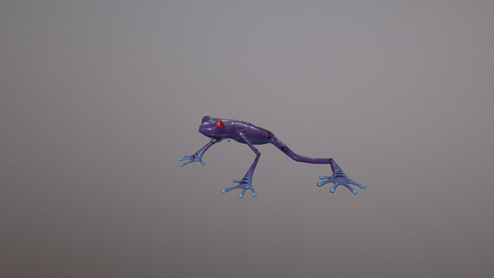 Frog Project - 3D model by Lucas Lee (@Lucastlee93) [261de72] - Sketchfab