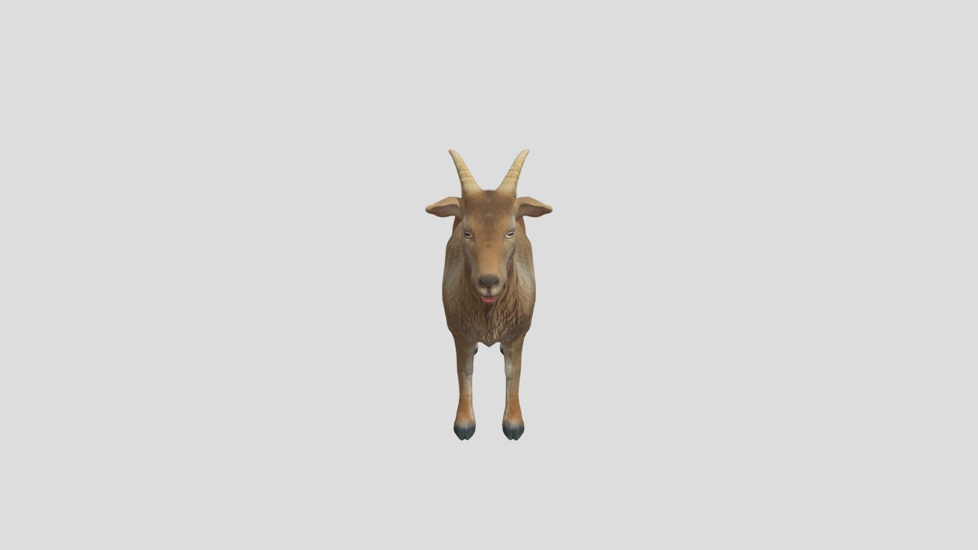 Goat - Download Free 3D model by hendrikReyneke [2624ac2] - Sketchfab