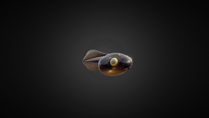 Tadpole 3D models - Sketchfab