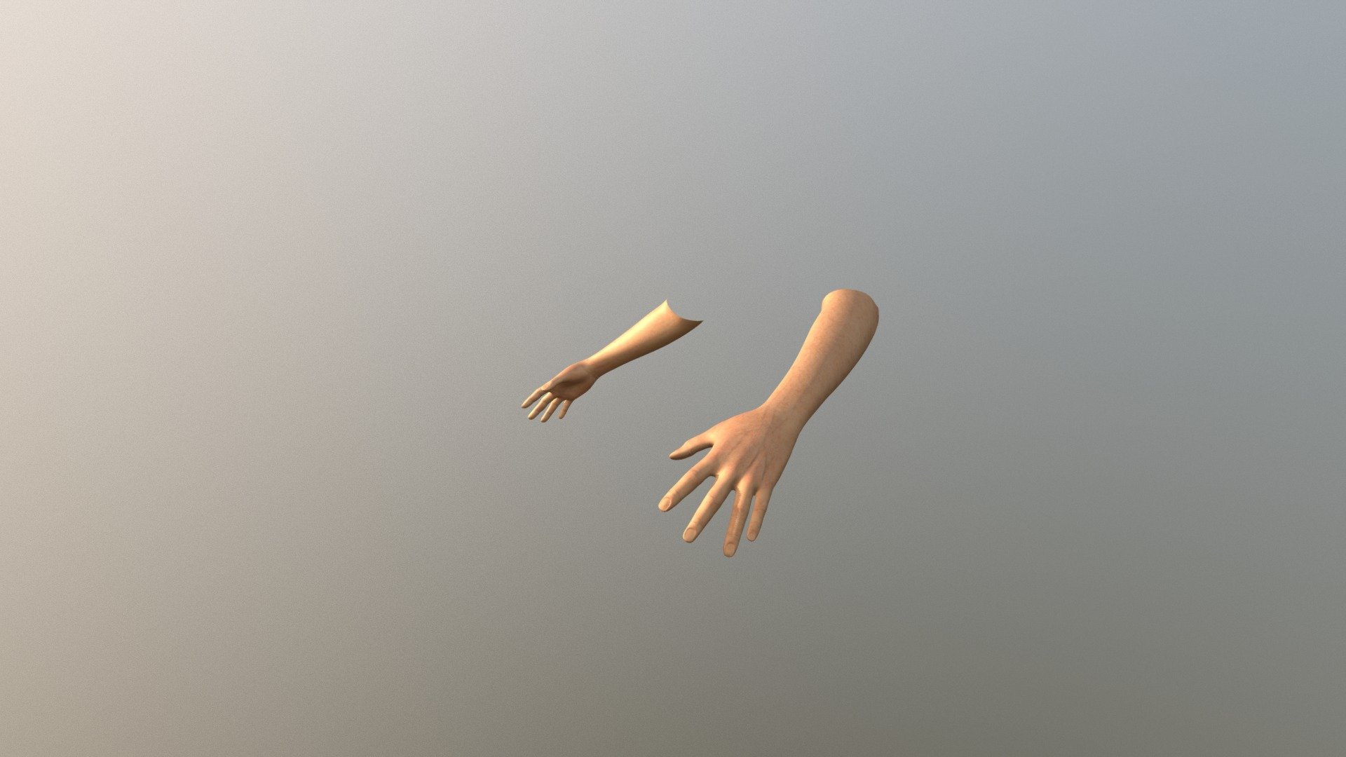First Person Shoother Arms - 3D model by GrizzlyB__ [2629fb2] - Sketchfab