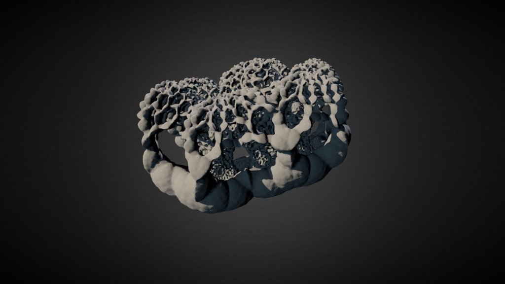 Fractal Lattice Grouping - Download Free 3D model by DonWhitaker ...