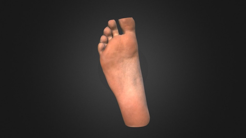 Sole of a foot scan - Download Free 3D model by Fuel3D [2641b54 ...