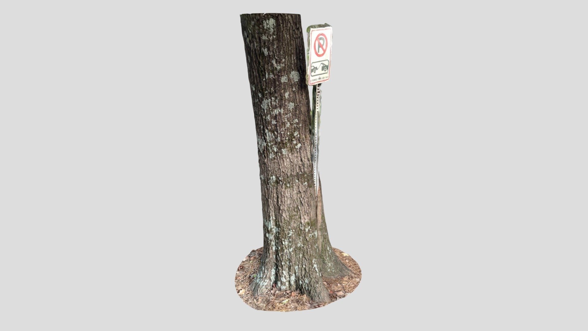 Tree Growing Around No Parking Sign - Download Free 3D model by Andrew ...