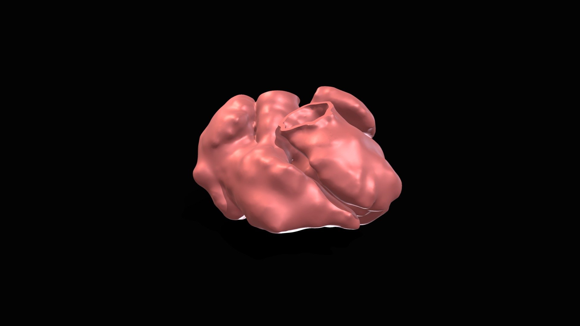 cc-TGA, Outlet VSD - 3D model by kmaghrabi [2647ec3] - Sketchfab