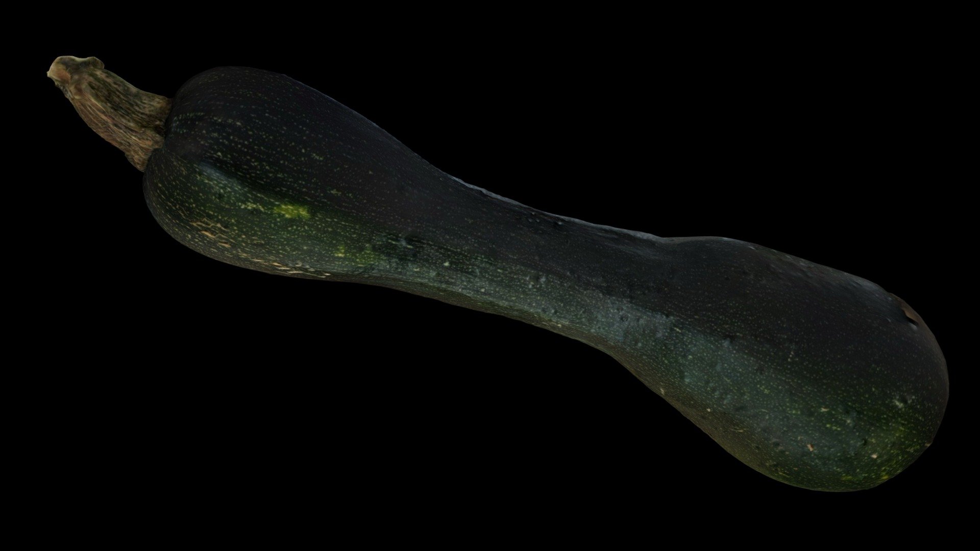 Zucchini Courgette fruit scan - 3D model by vv37 [264bfa5] - Sketchfab