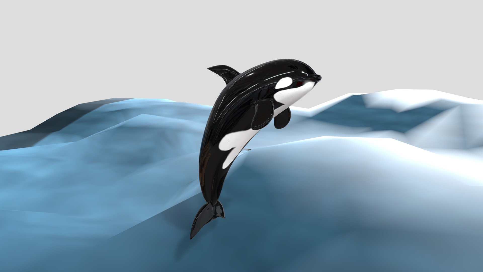 Orcinus orca - 3D model by WenjingZang [2659038] - Sketchfab