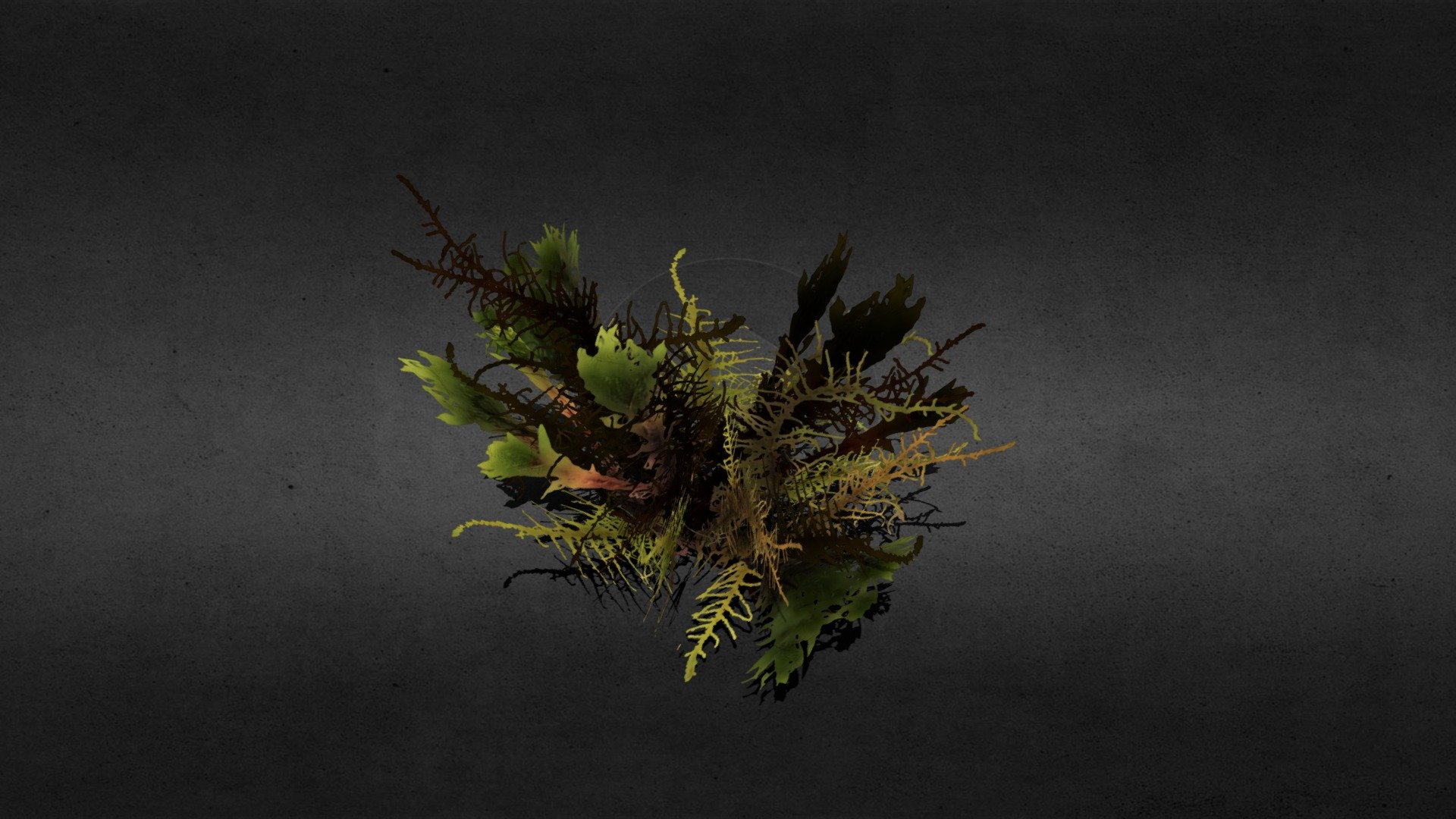 Moss - 3D model by Jeferson Porto Bergmam ( OPEN FOR JOBS) (@Jeferson ...
