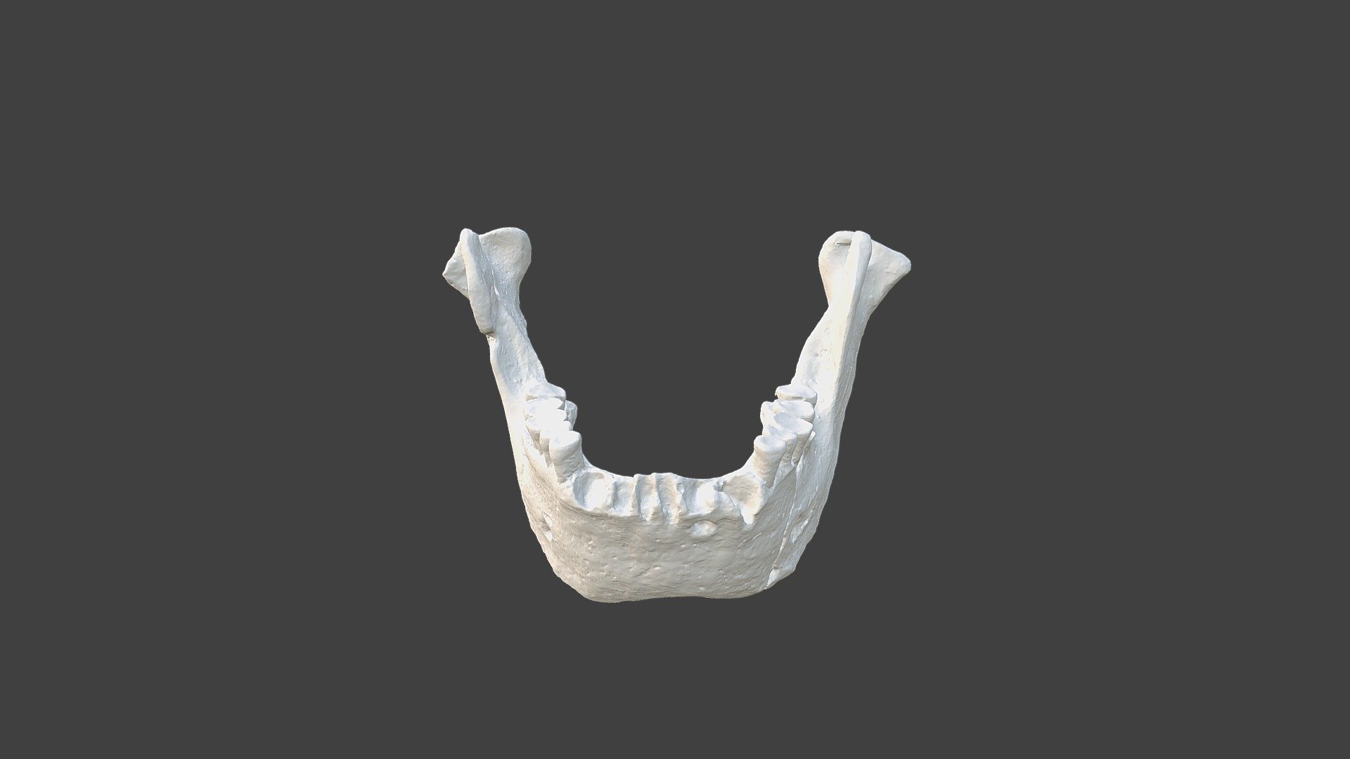 Atapuerca 5 Jaw - 3D model by Wellesley College (@WellesleyCollege ...