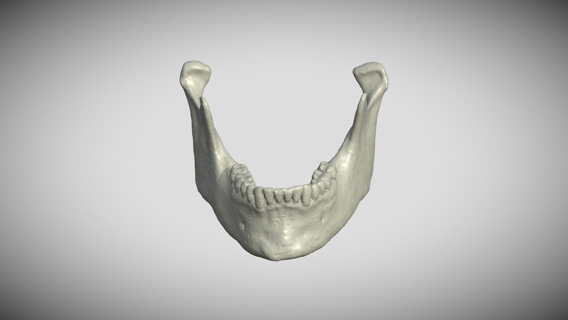 JAGAKE Mandible - Download Free 3D model by jagake [2667ab0] - Sketchfab