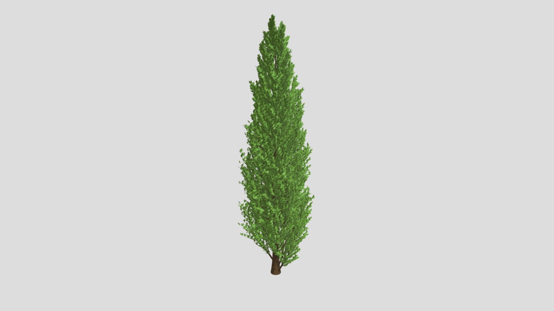 Tall Tree - Buy Royalty Free 3D model by Ed+ (@EDplus) [266ac55 ...
