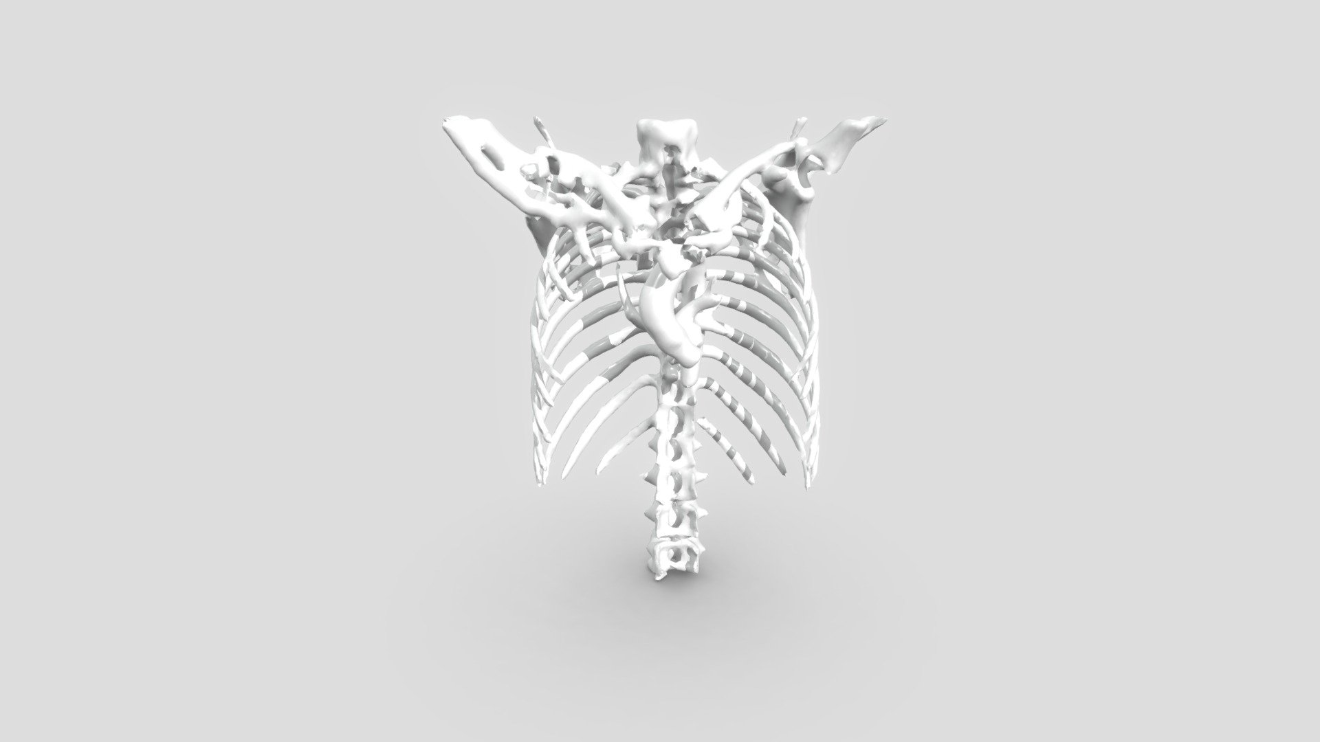 Skeleton part DICOM - 3D model by Mishazawa [2670320] - Sketchfab
