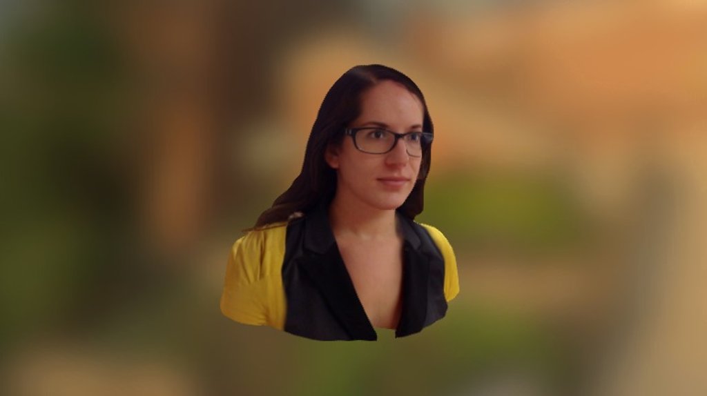 Rachel Wise, RJI - 3D model by Reynolds Journalism Institute (@rji ...