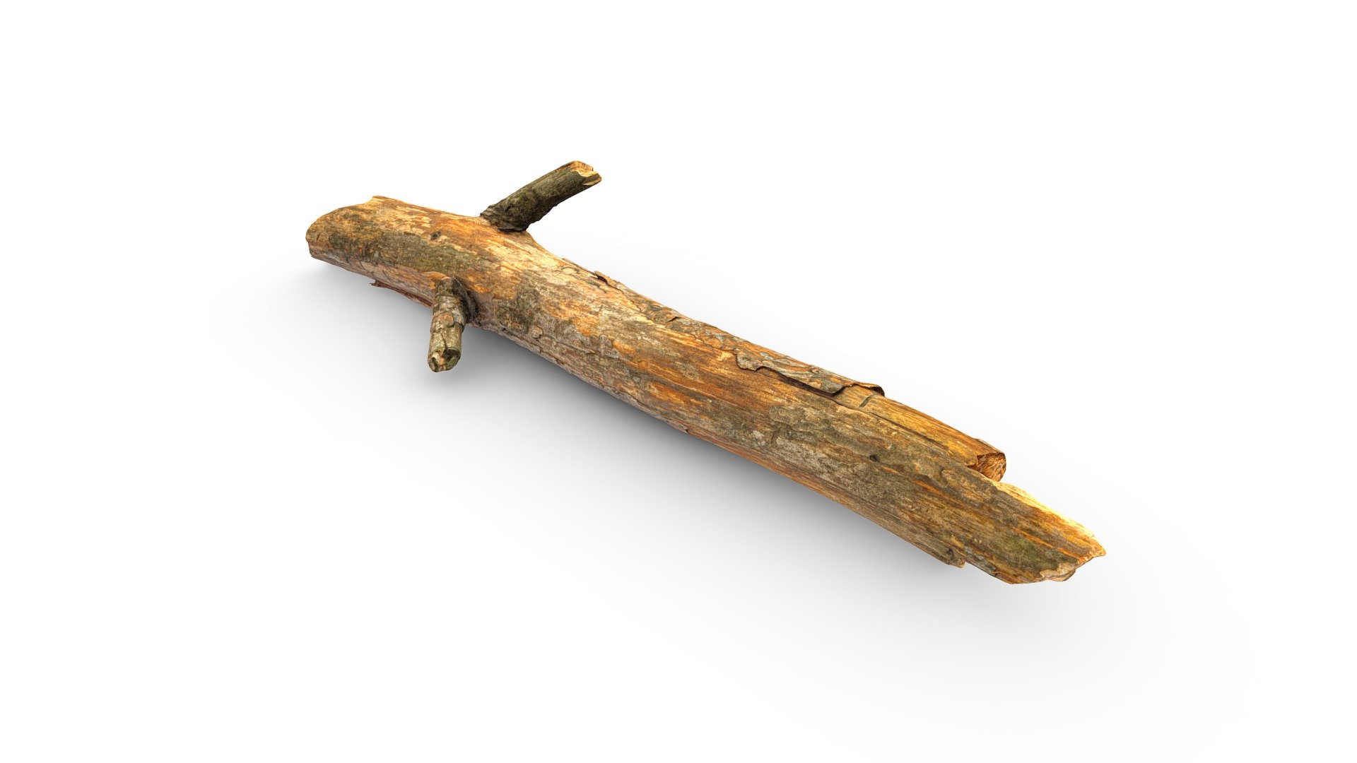 Forest Stick - 3D model by RawCatalog.com (@rawcatalog) [26779e6 ...