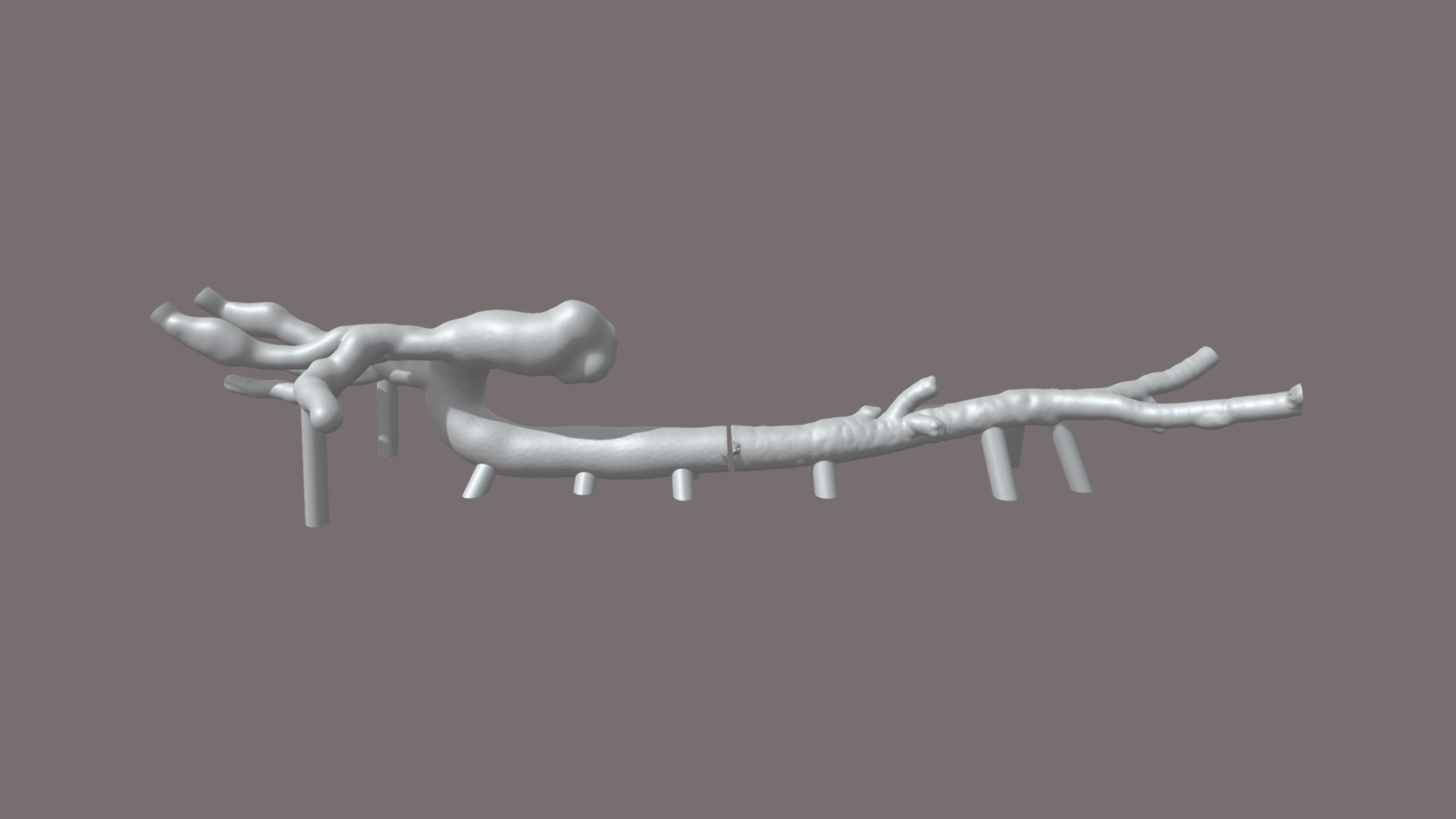 Stroke training Model - Aortic Arch - 3D model by mboreman [2680983 ...