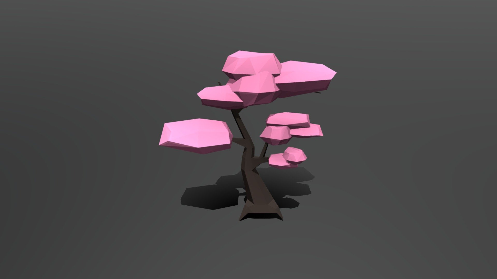 Sakura - 3D model by Anastasia_Korolchuk [268632c] - Sketchfab