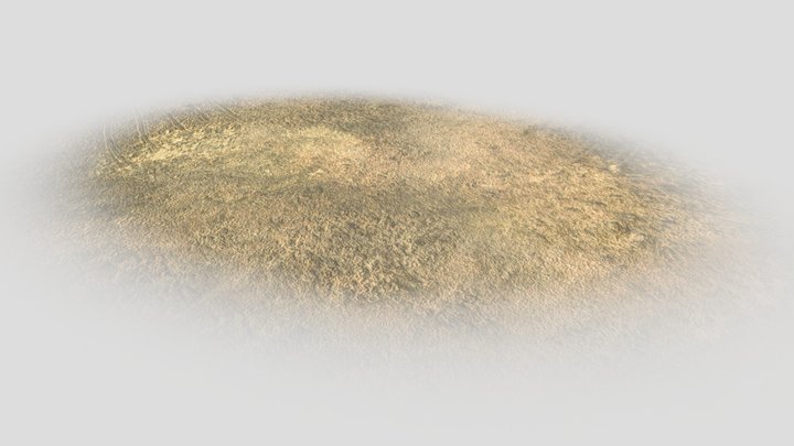 Hoof-print 3D models - Sketchfab