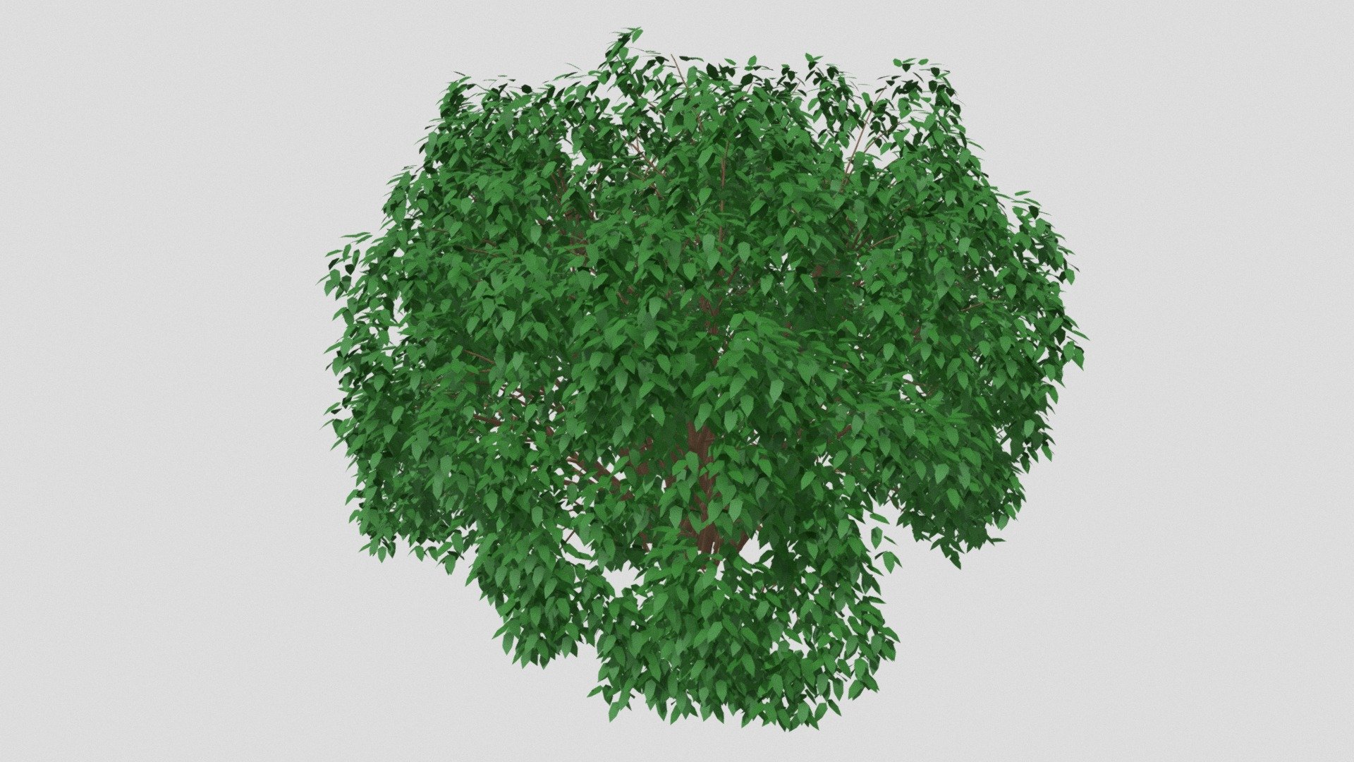bush - Download Free 3D model by name213478 [2689132] - Sketchfab