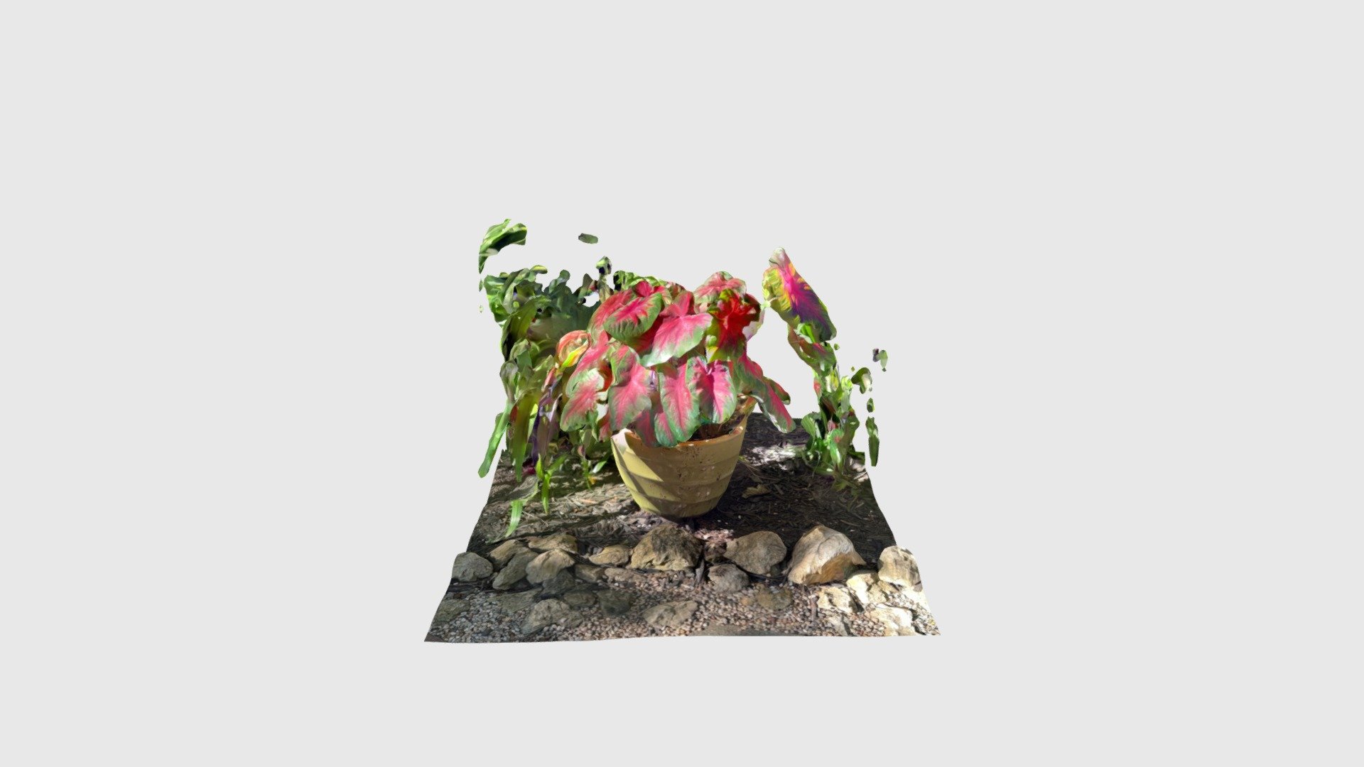 Plant - Download Free 3D model by tdtrumble [268de87] - Sketchfab