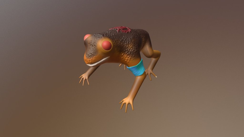 Frog - 3D model by Mikoldman (@chui) [2690373] - Sketchfab