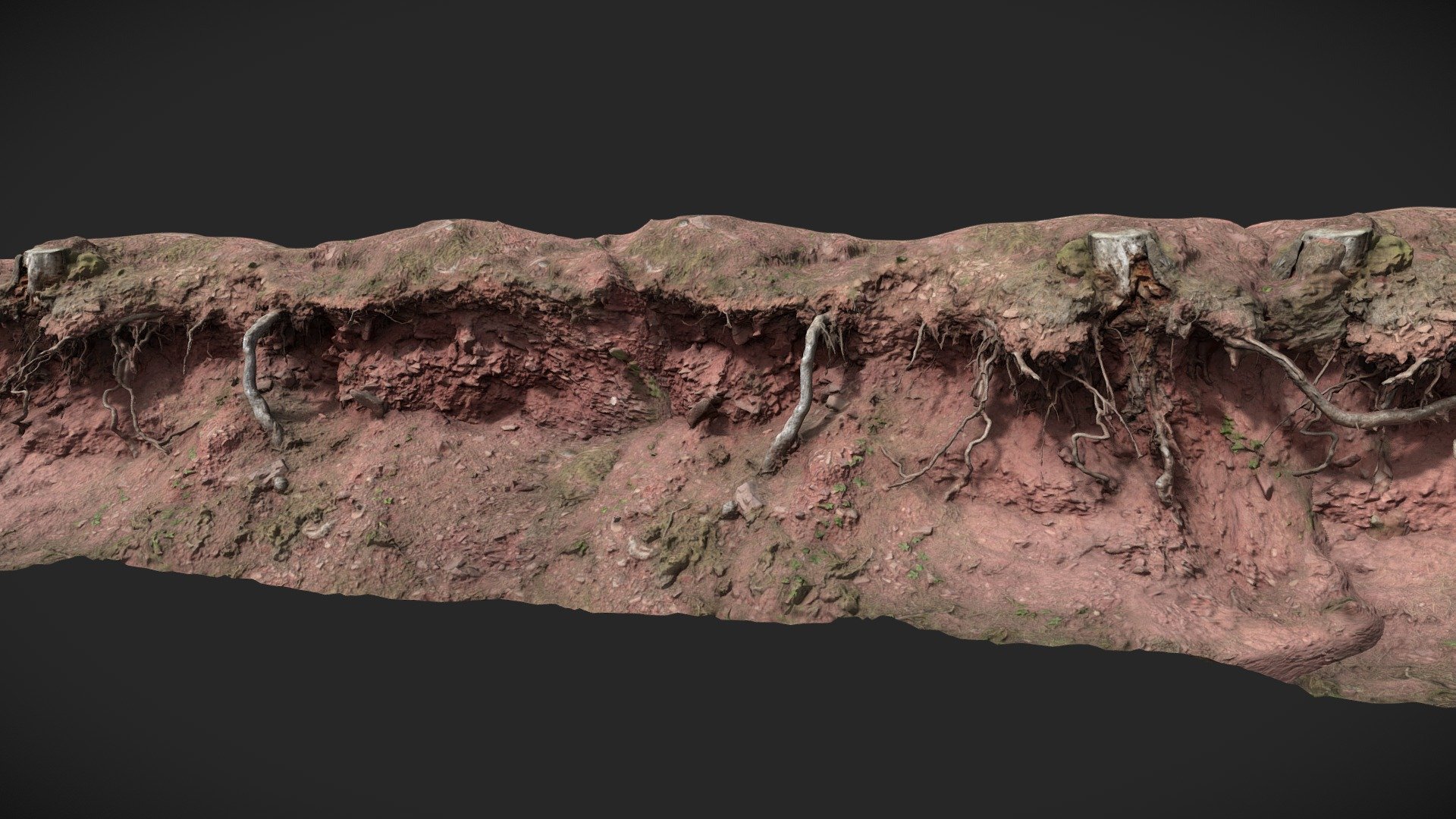 Red Gravel Overhang Roots PBR Scan - Buy Royalty Free 3D model by Per's ...