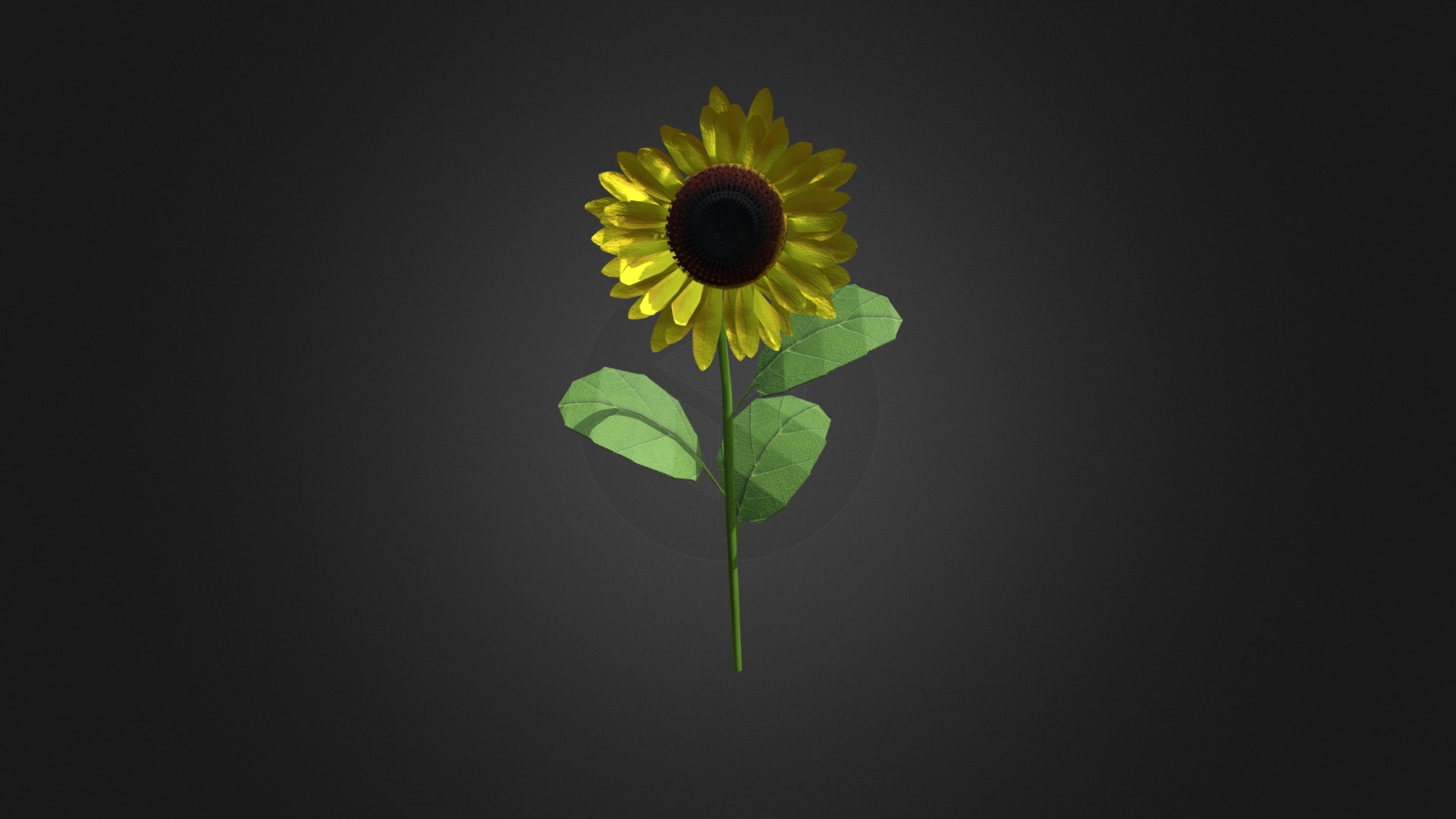 Sunflower High Poly - 3D model by Daniel Wilson (@rowdy92) [2699539 ...