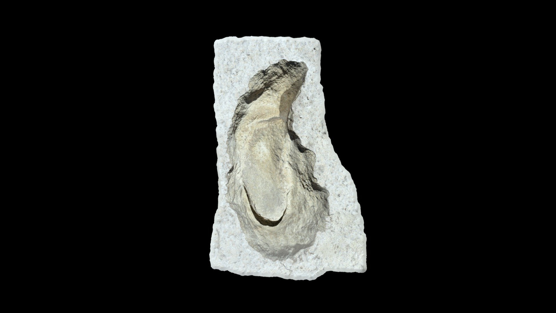 Human Print in Giant Ground Sloth Print - 3D model by White Sands ...