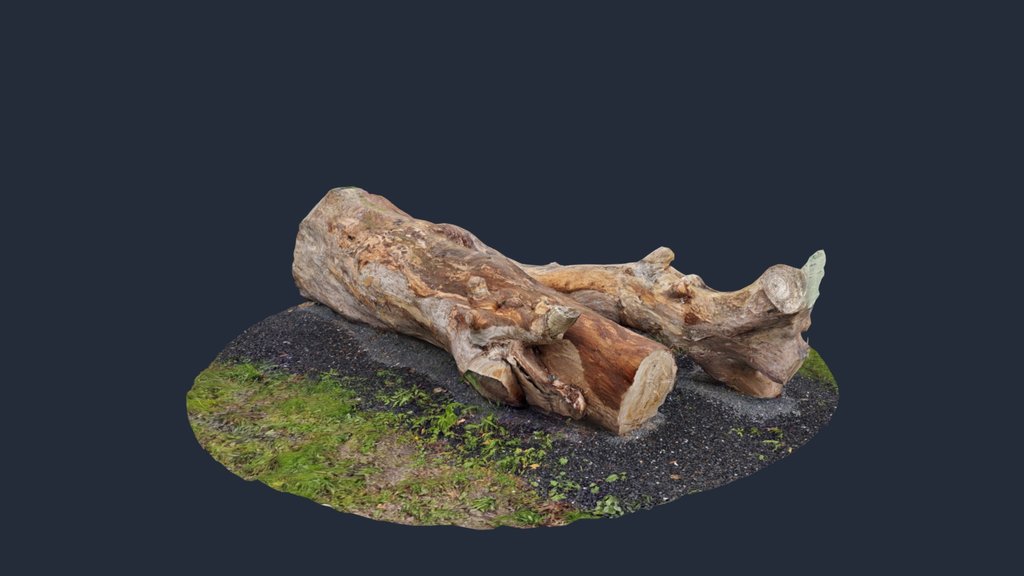 Nature - A 3D model collection by 3DLandskap.no (@3dlandskap) - Sketchfab