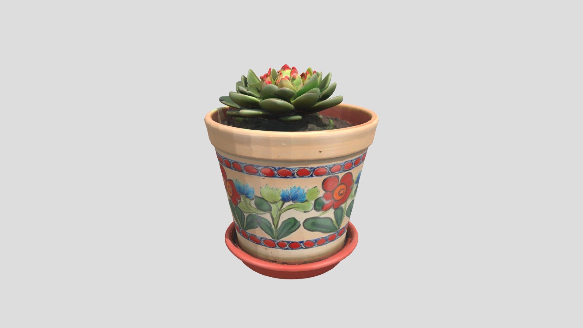 Succulant - 3D model by RMariepxo [26a2732] - Sketchfab