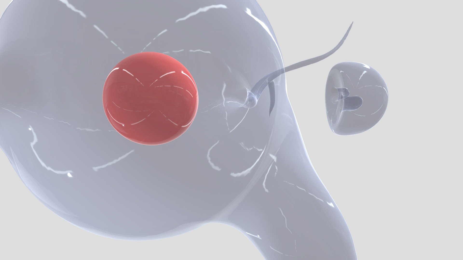 Neuron Test - 3D model by lrcfs [26a3c0a] - Sketchfab