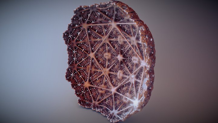 Shadertoy 3D models - Sketchfab