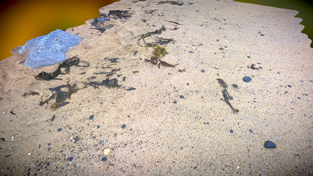 Flamboro - Beach 3 - 3D model by Paul (@paul3uk) [26c146b] - Sketchfab