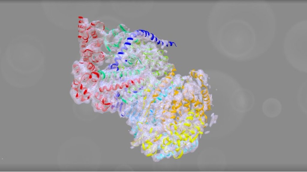 eIF3 w/ 43S Preinitiation Complex- NATURE (2015) - 3D model by ...