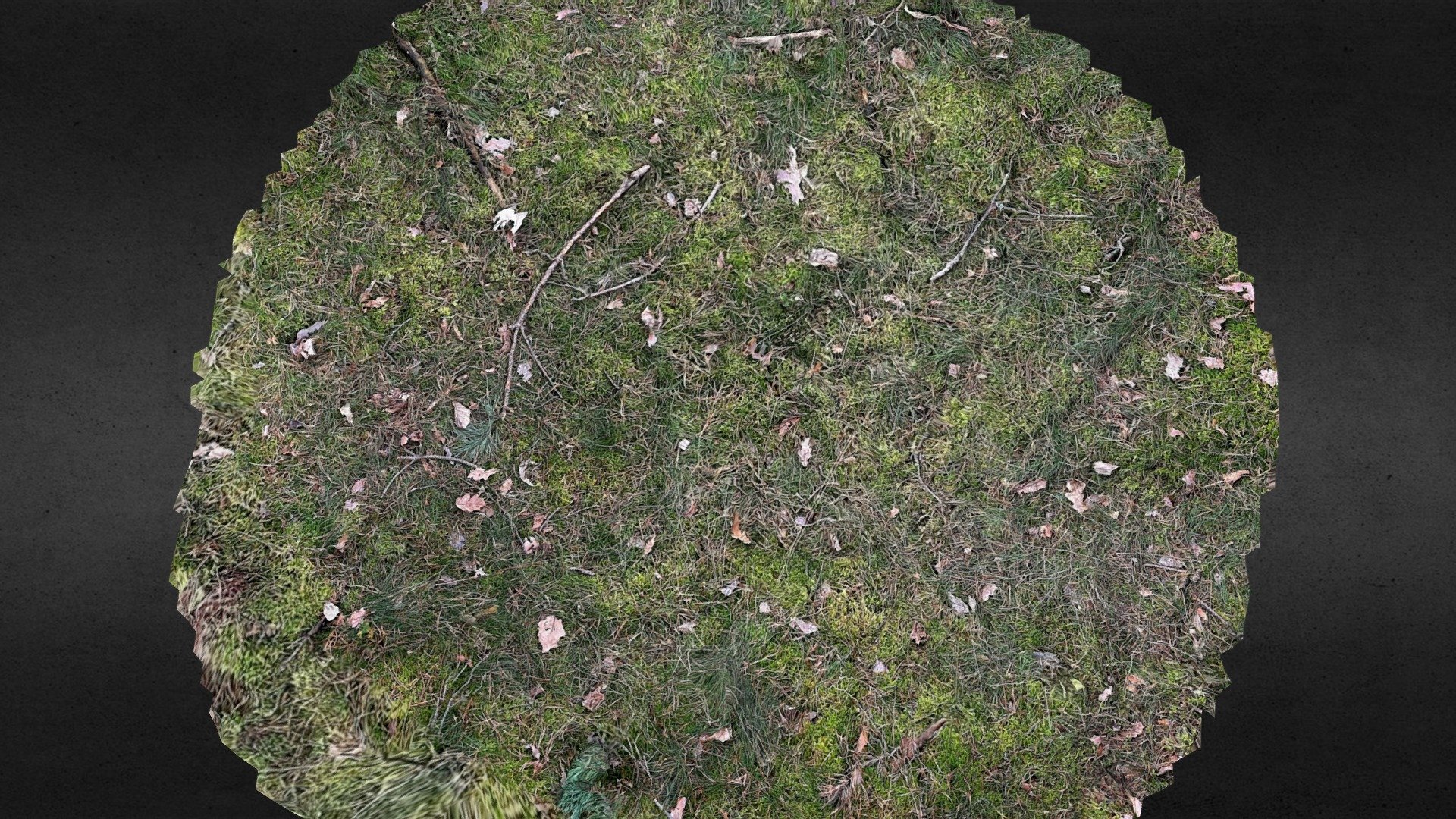 Ground in the forest - Download Free 3D model by Tomhaj [26c84fe ...