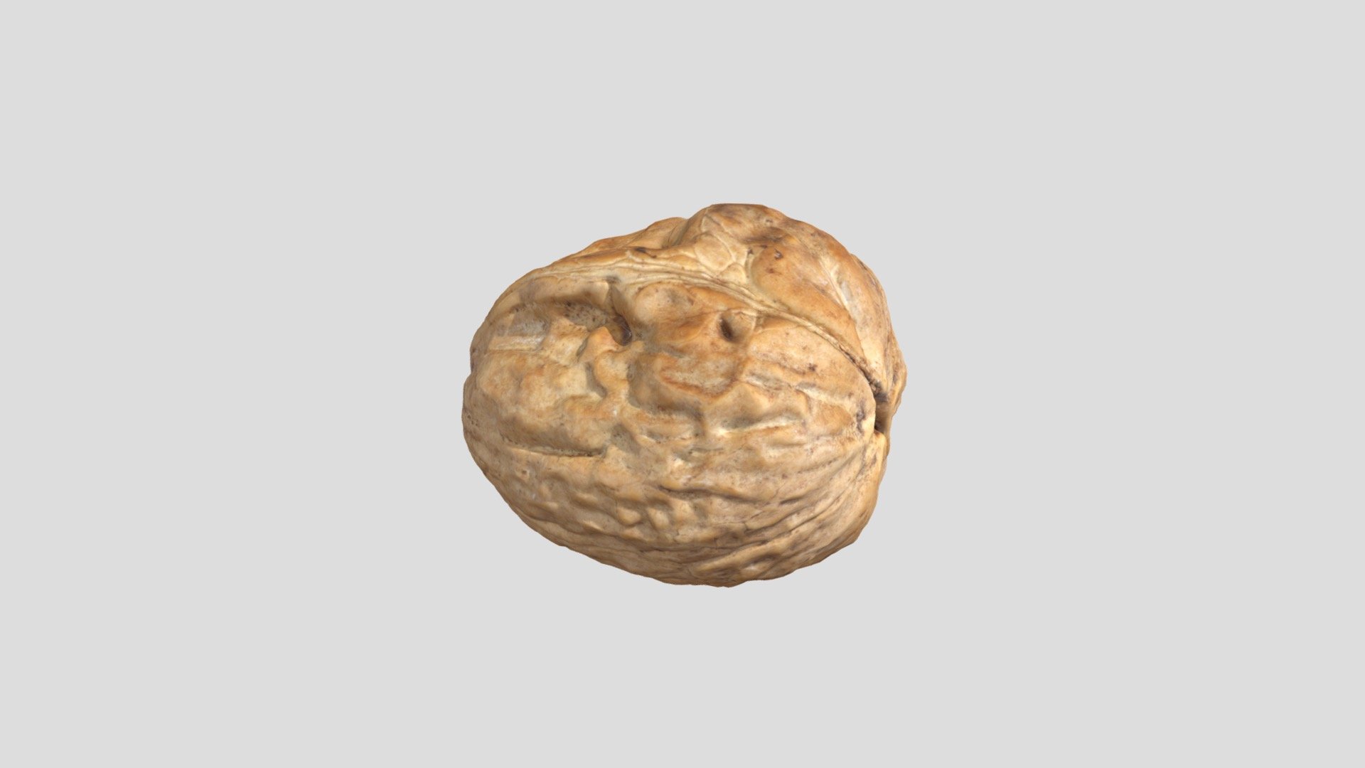 Walnut - Download Free 3D model by scbenoit [26d2a17] - Sketchfab