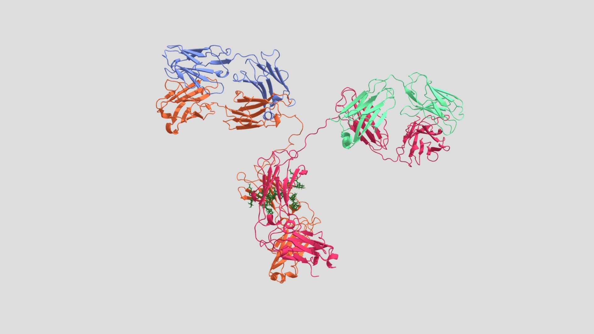 Inmunoglobulina G (IgG) - Ribbons - Download Free 3D model by alebogino ...