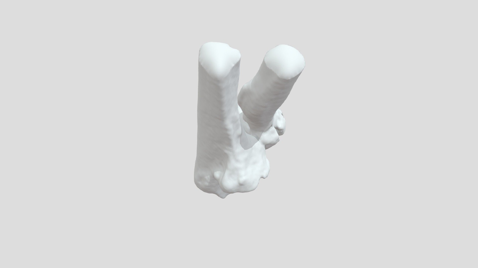 Radio_and_ulna - 3D model by Rod Py (@rodrigopy) [26e4f18] - Sketchfab