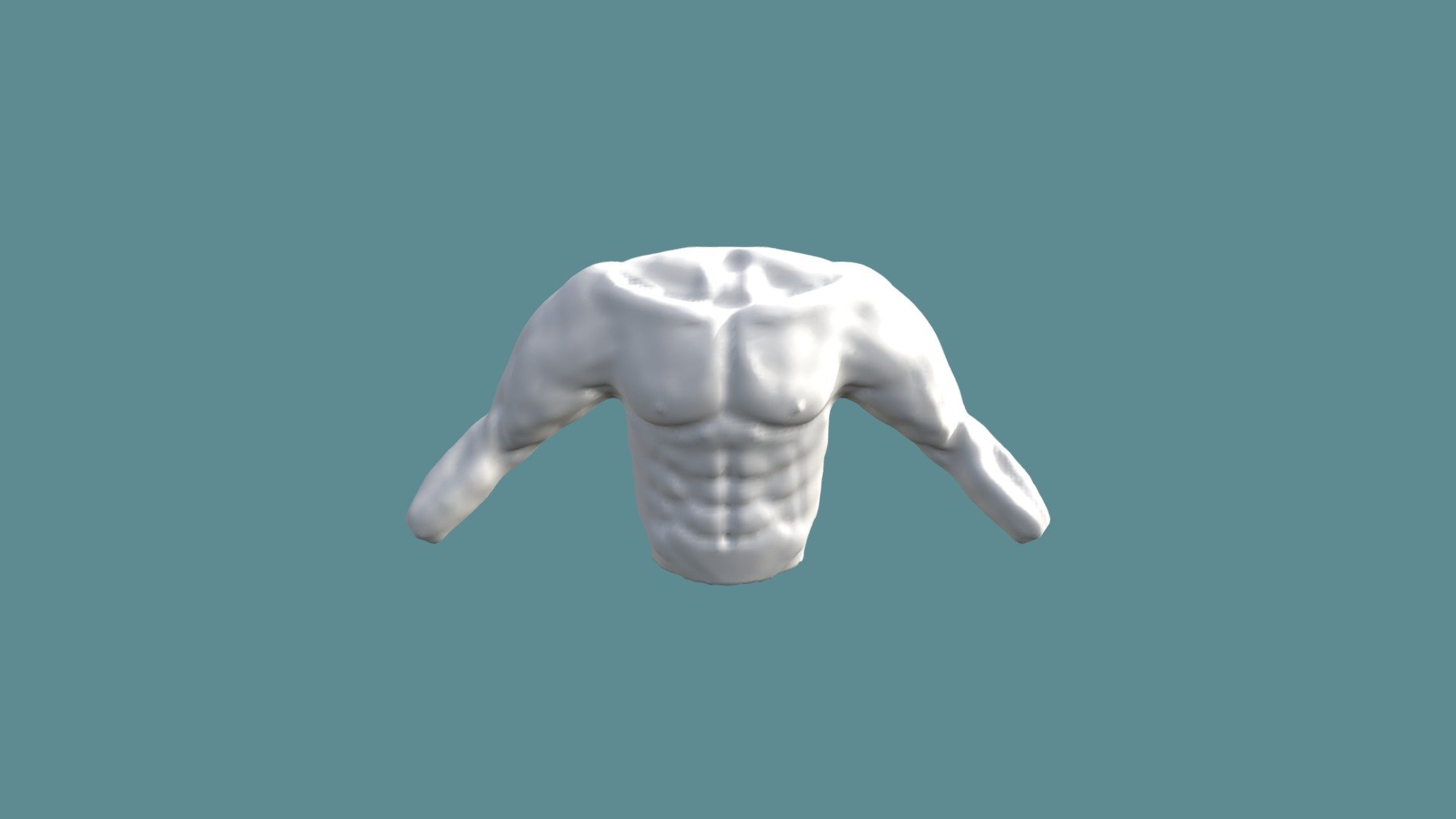 Male torso anotomy - 3D model by Reyyan yaqub (@reyyanyaqub) [26e6871 ...