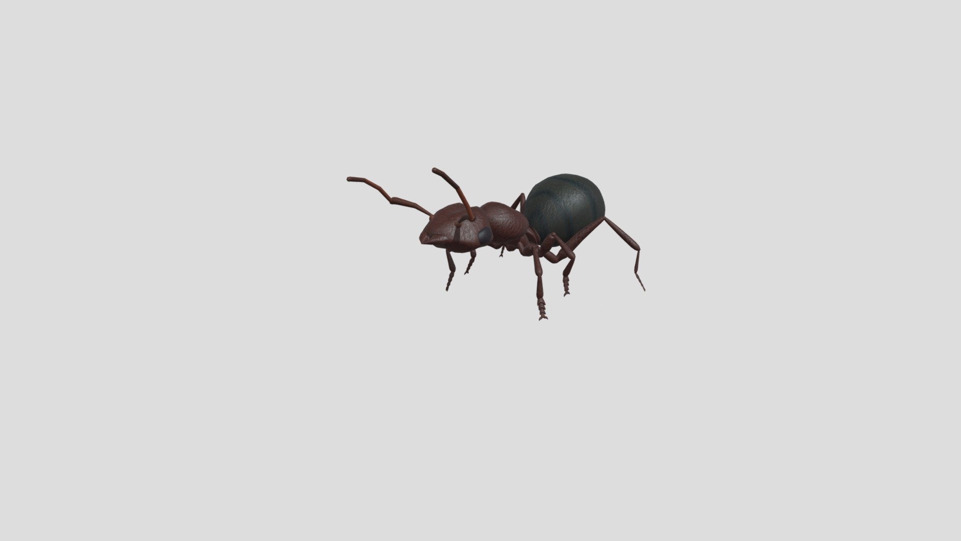 Worker Ant - 3D model by JorgeAguilera [26e900d] - Sketchfab