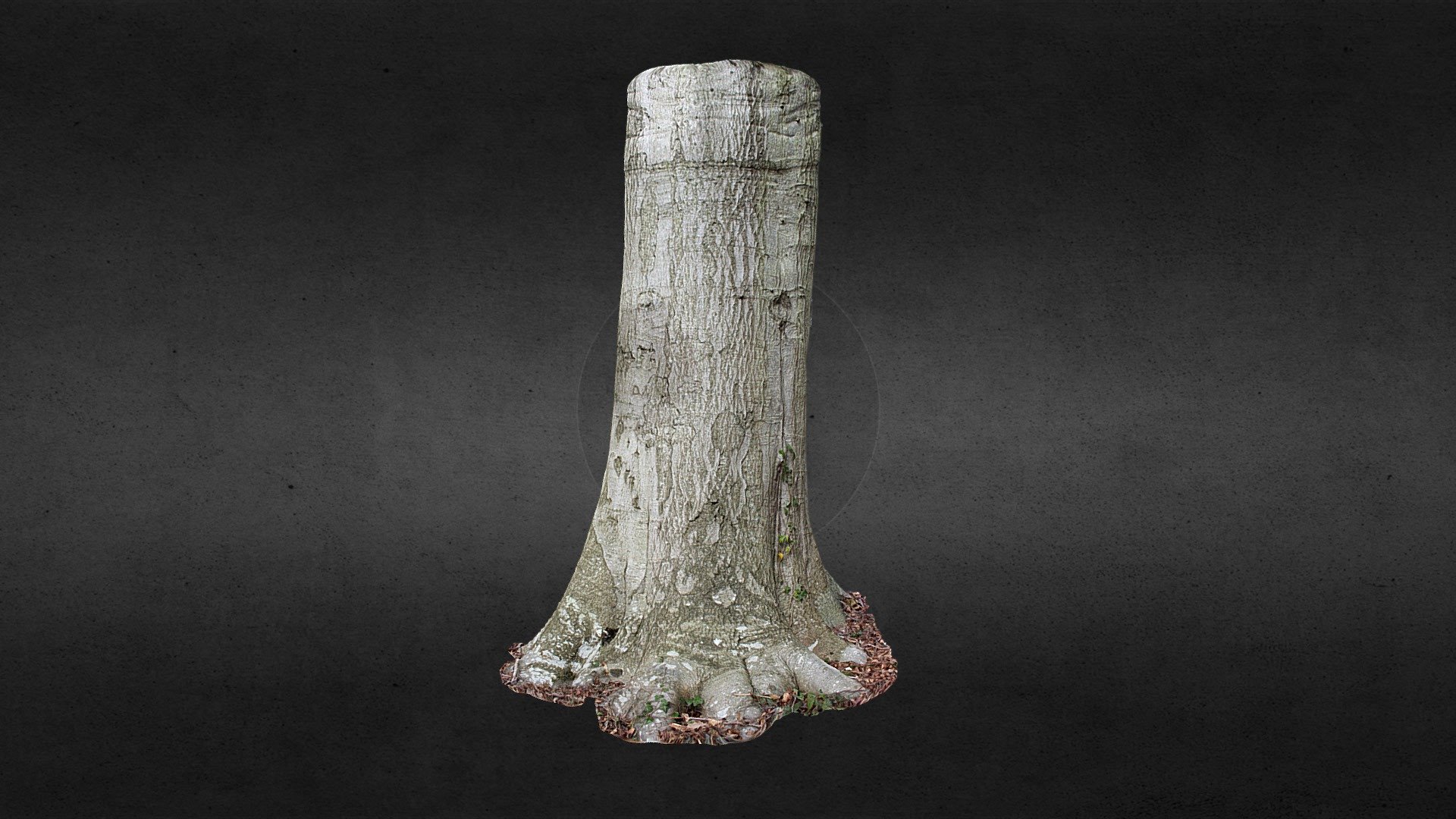 Abre_34 - 3D model by Digitage [26e9fd9] - Sketchfab