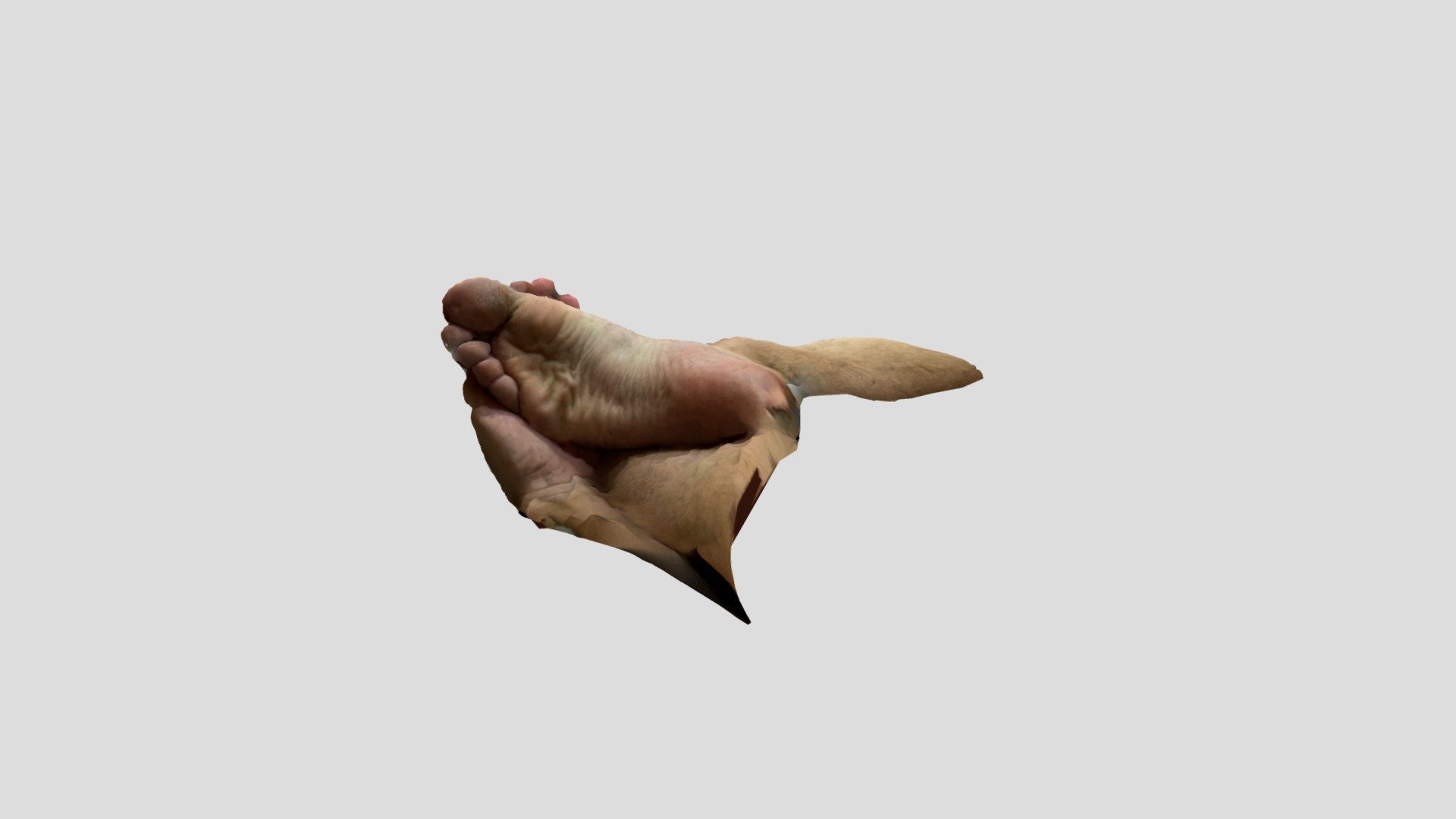 foot_3_full - Download Free 3D model by workss [26ed157] - Sketchfab